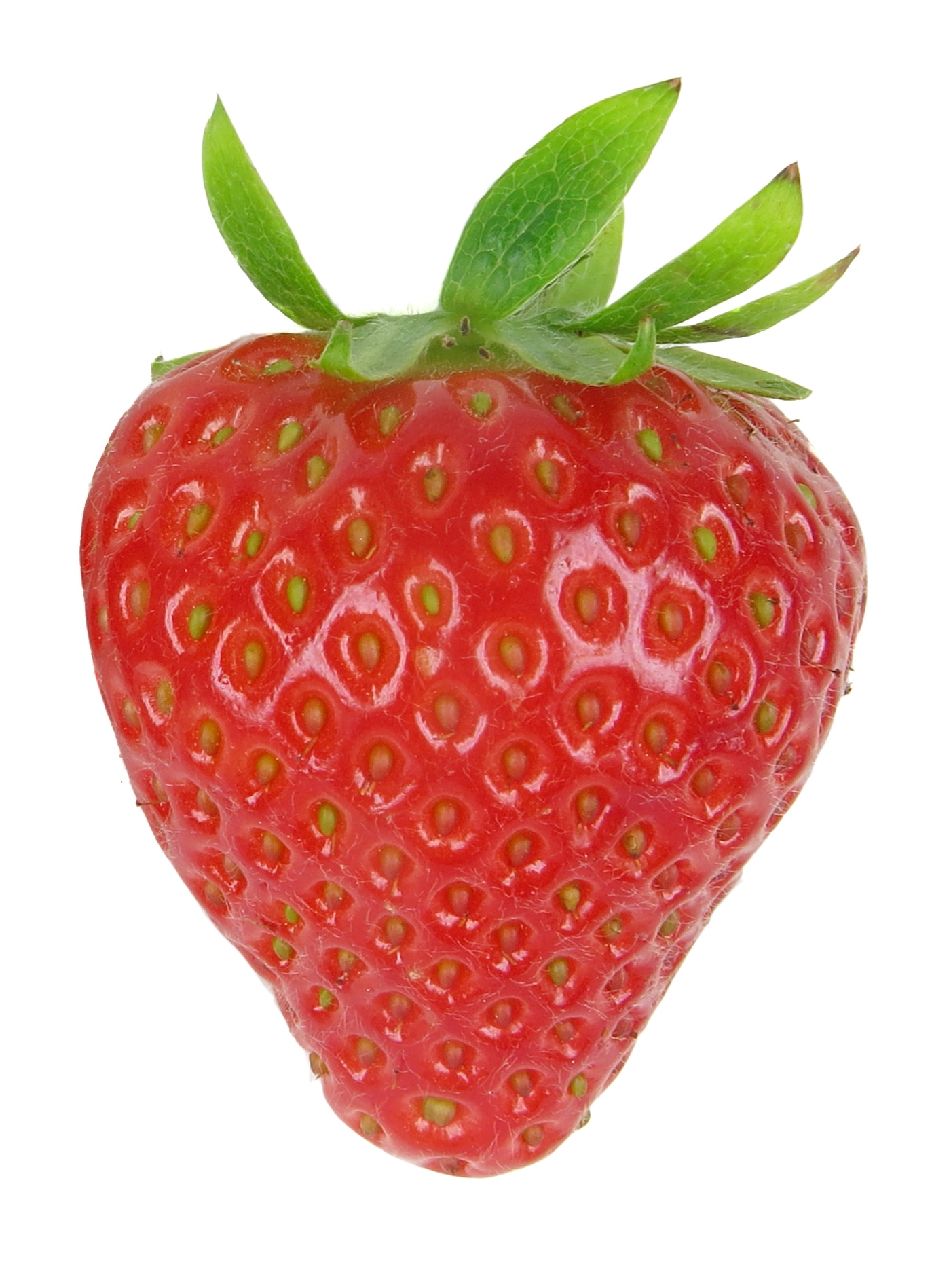 Fruits et Légumes - Fraise - Équipements et Qualité Après Récolte - CTIFL