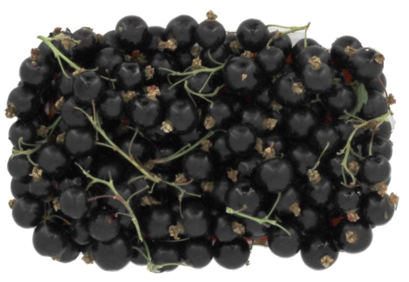 Fruits et Légumes - Petits fruits rouges - Équipements et Qualité Après ...