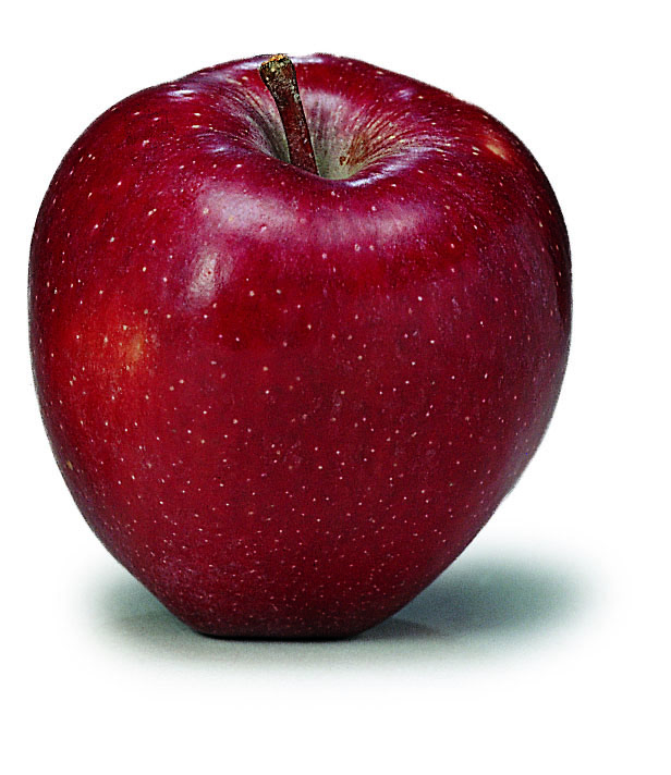 Fruits et Légumes - Pomme - Équipements et Qualité Après Récolte - CTIFL