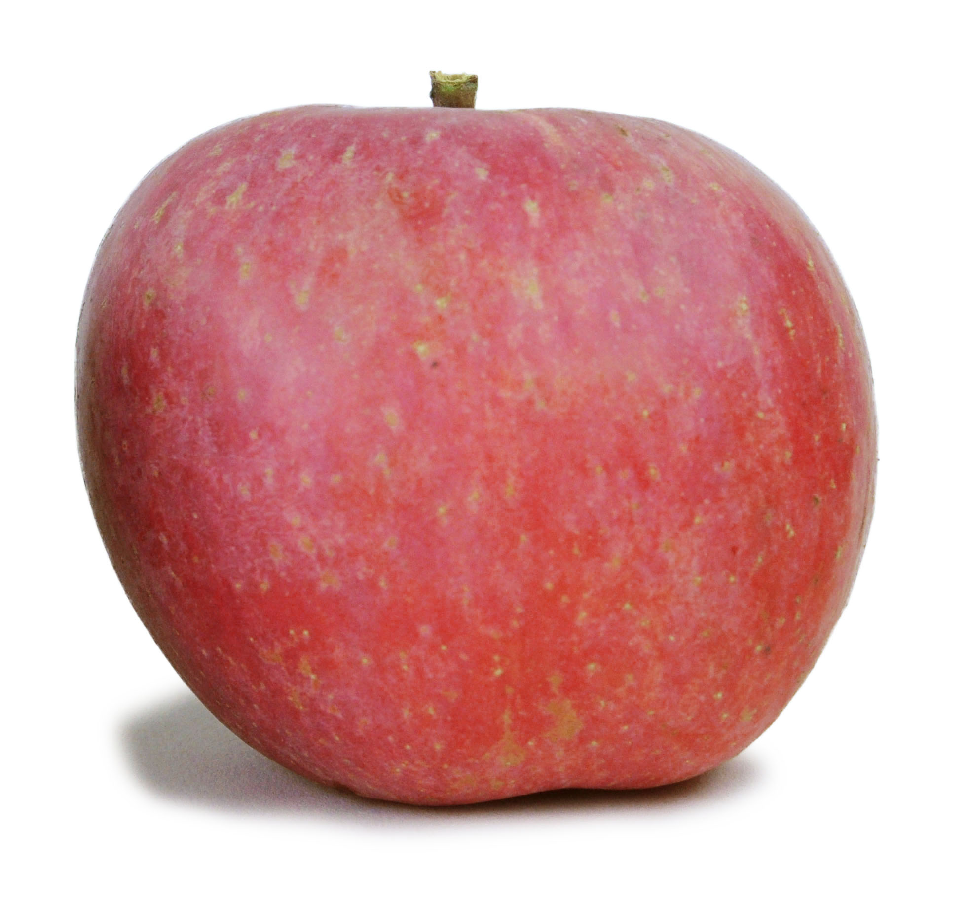 Fruits et Légumes - Pomme - Équipements et Qualité Après Récolte - CTIFL