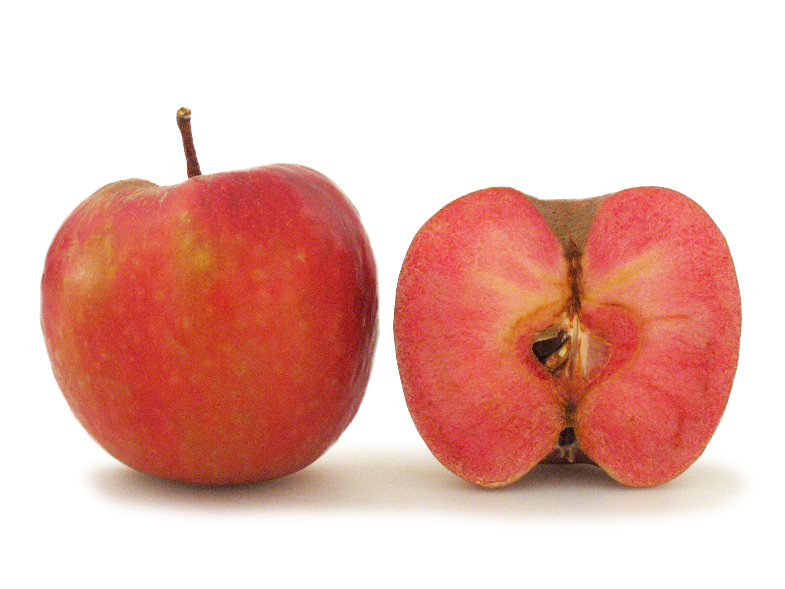 Fruits et Légumes - Pomme - Équipements et Qualité Après Récolte - CTIFL